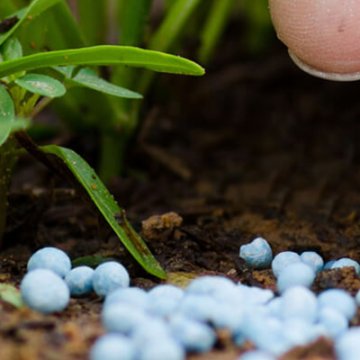 Mix With Fertilizer
